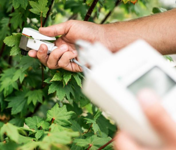 Addium Meter Group - SC-1 – Porômetro Foliar